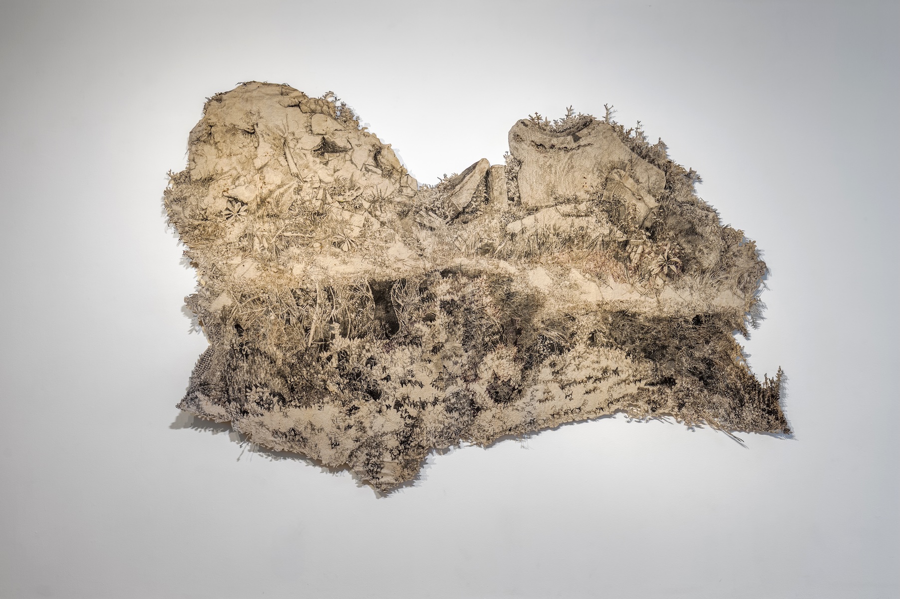 Fluid Dynamics | Angels Gate Cultural Center