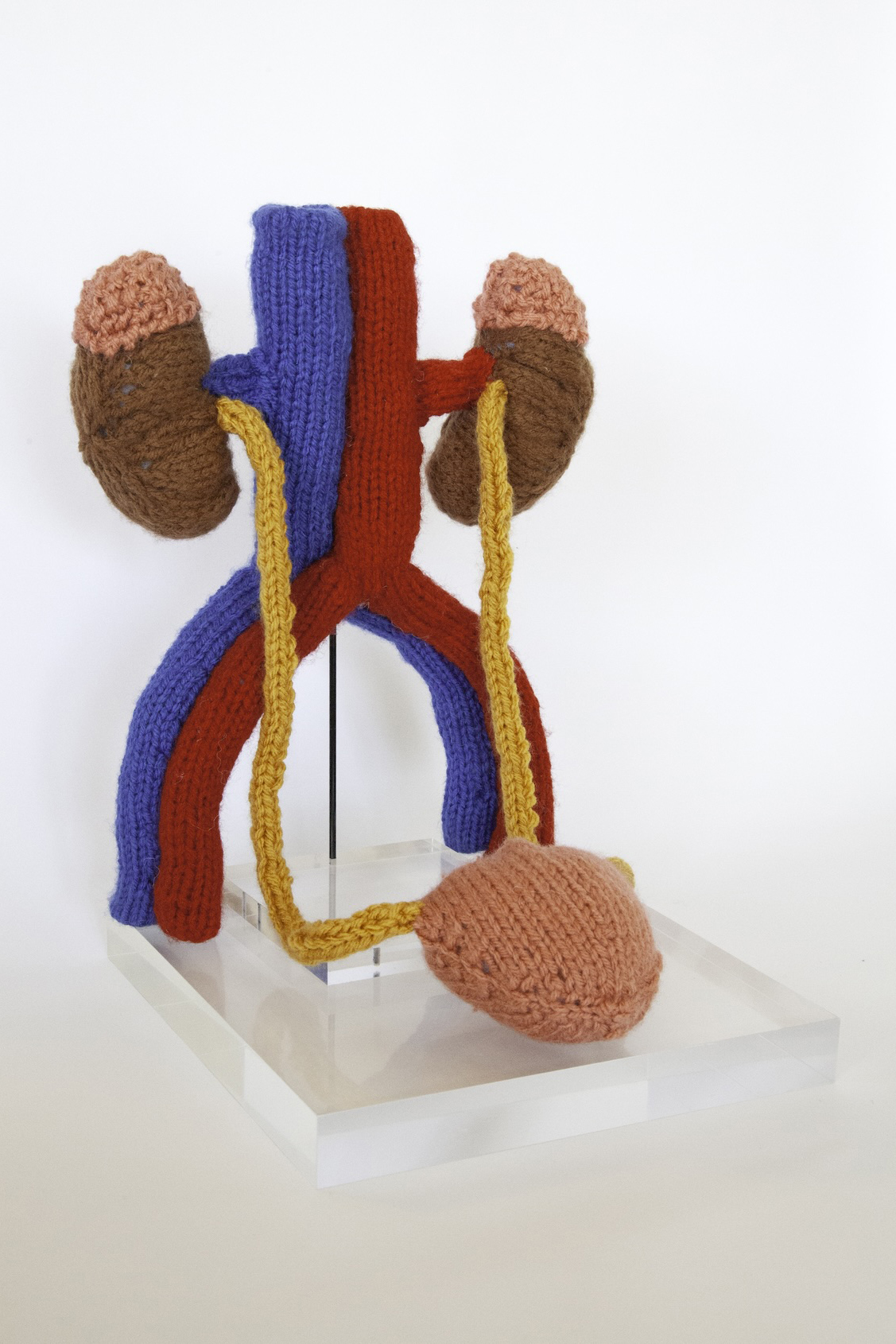 Fluid Dynamics | Angels Gate Cultural Center